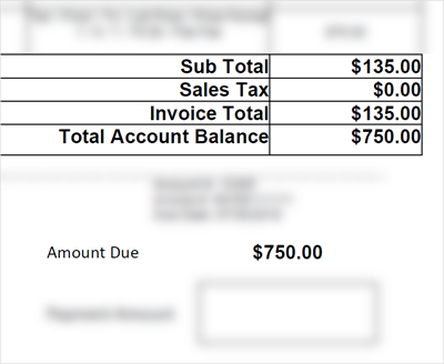 How to Read an Annual Invoice