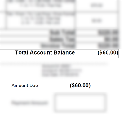 How to Read an Annual Invoices